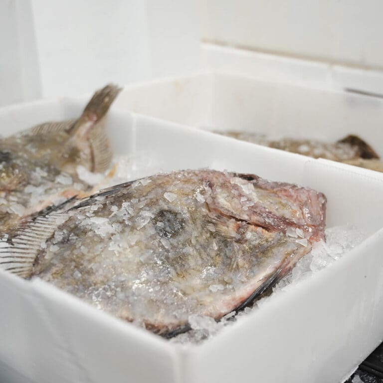 Coolseal seafood & fish packaging | Polystyrene fish box alternative ...