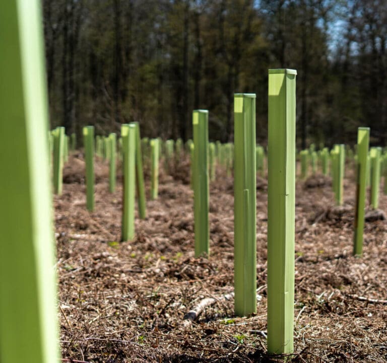 Defender Tree Guards | Tree Defender tree tube range | Tri-pack